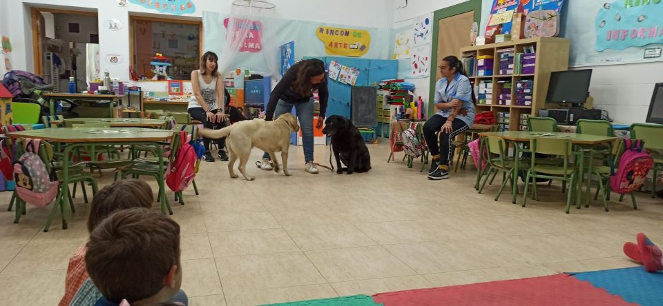 SIMÓN Y SAAD, PERROS DE TERAPIA - Tú me aprendes